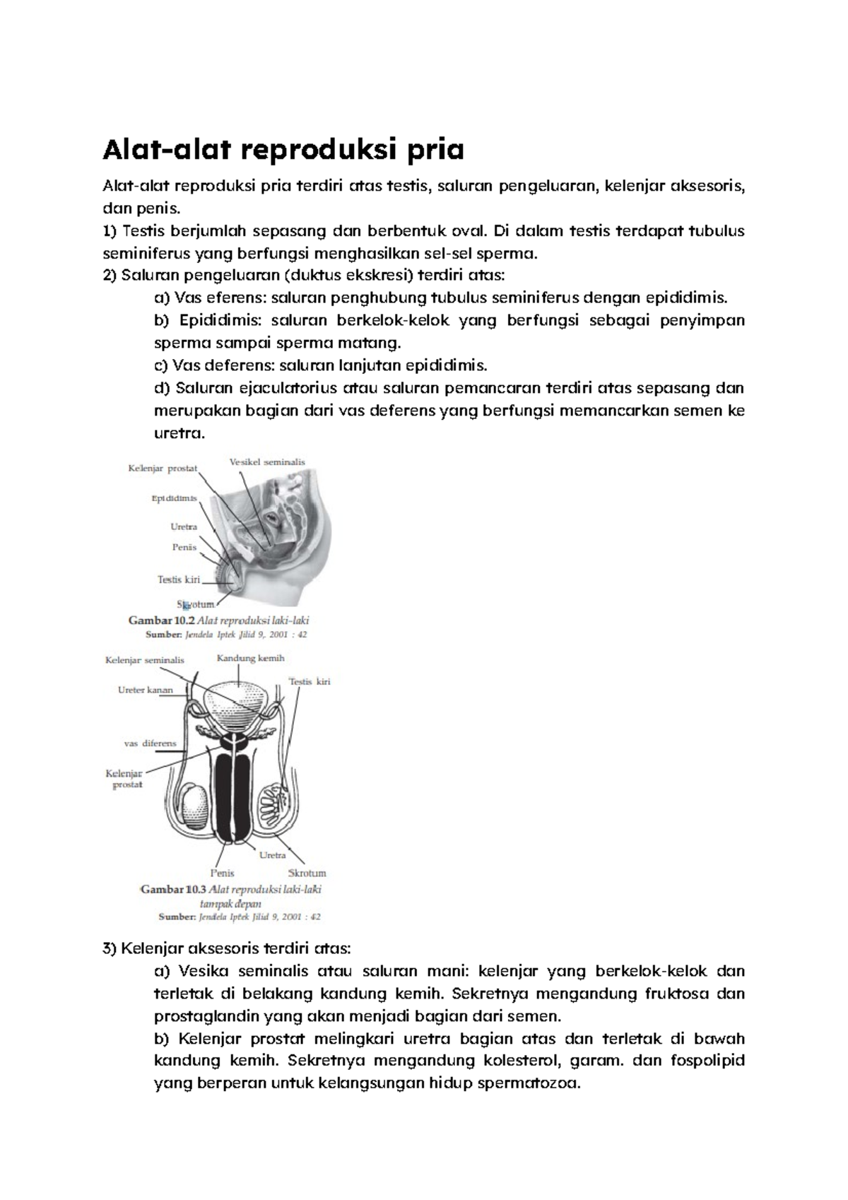 Biologi reproduksi pria - Alat-alat reproduksi pria Alat-alat ...