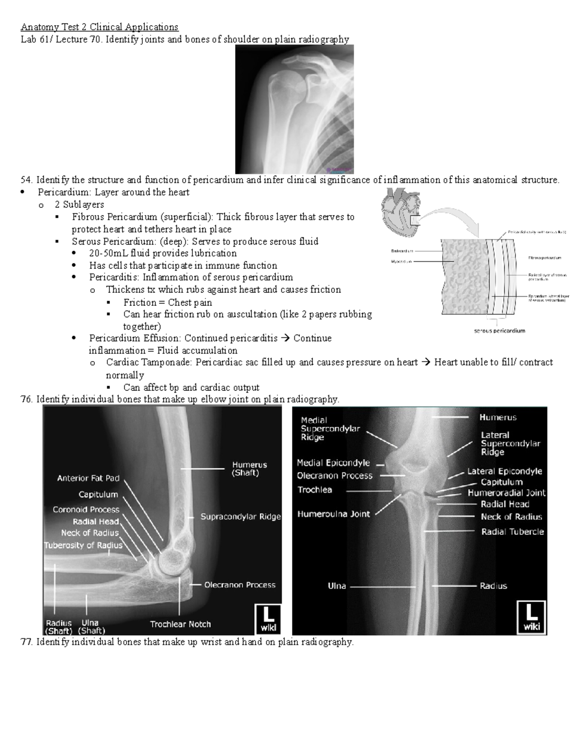 Upper Extremity / Cardiac Clinical Applications - Anatomy Test 2 ...