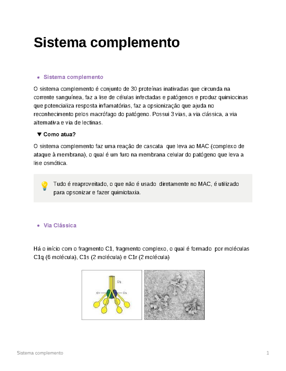 Sistema complemento - Possui 3 vias, a via clássica, a via alternativa e via de lectinas. Como ...