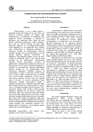 Criptorquidismo equino Importante - Clinical Diagnosis of the ...