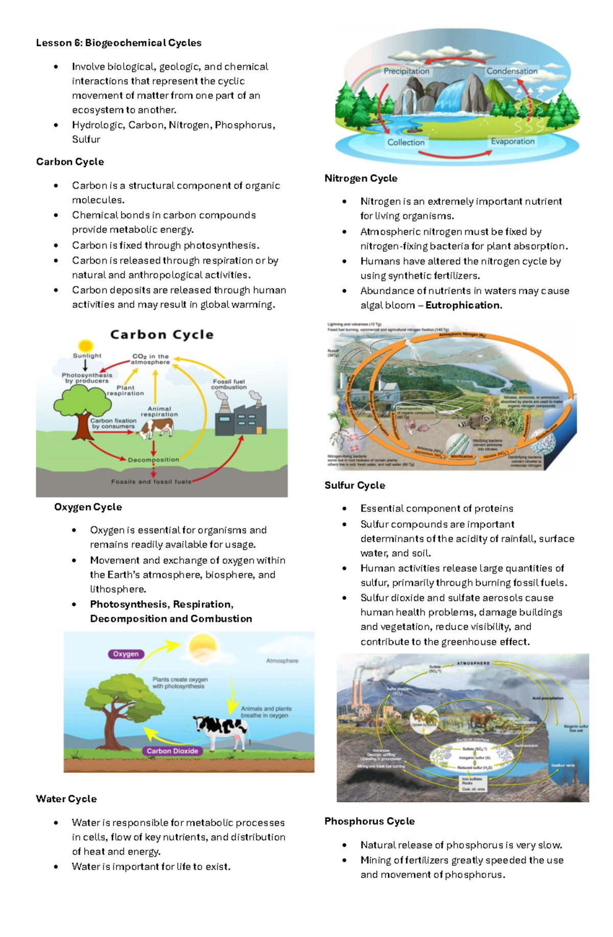 Natsci finals - Lesson 6-10 - Lesson 6: Biogeochemical Cycles - Involve ...