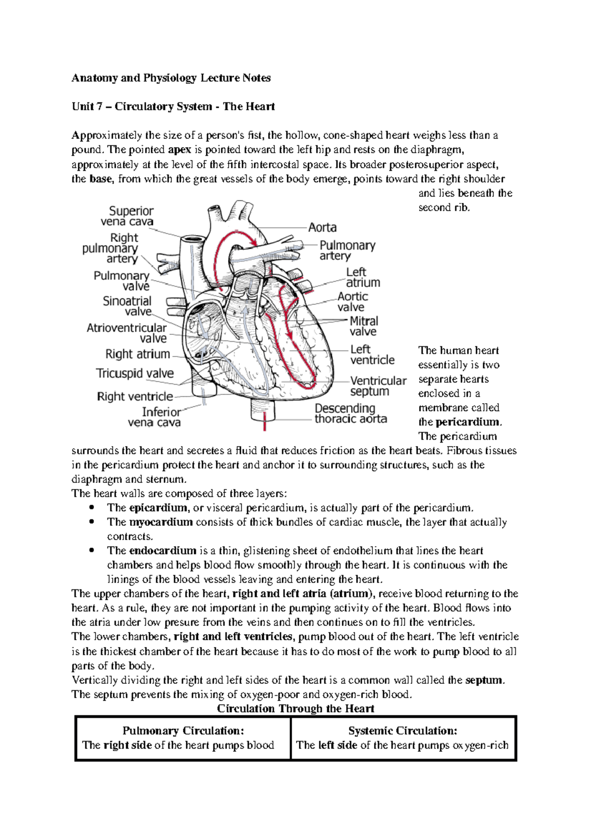 Unit 7 the heart - Anatomy and Physiology Lecture Notes Unit 7 ...