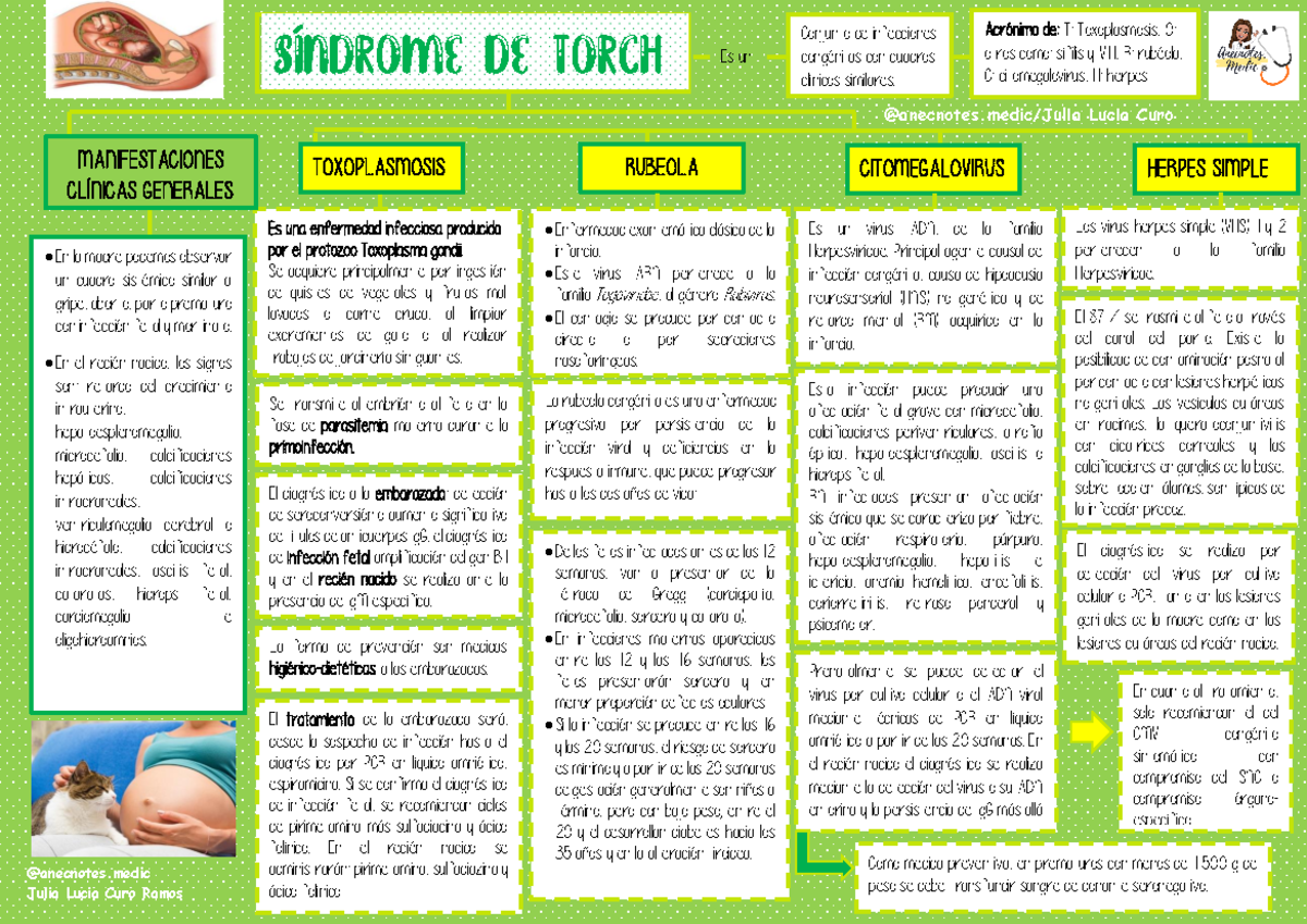 Sindrome DE Torch MAPA - Es un En la madre podemos observar un cuadro ...