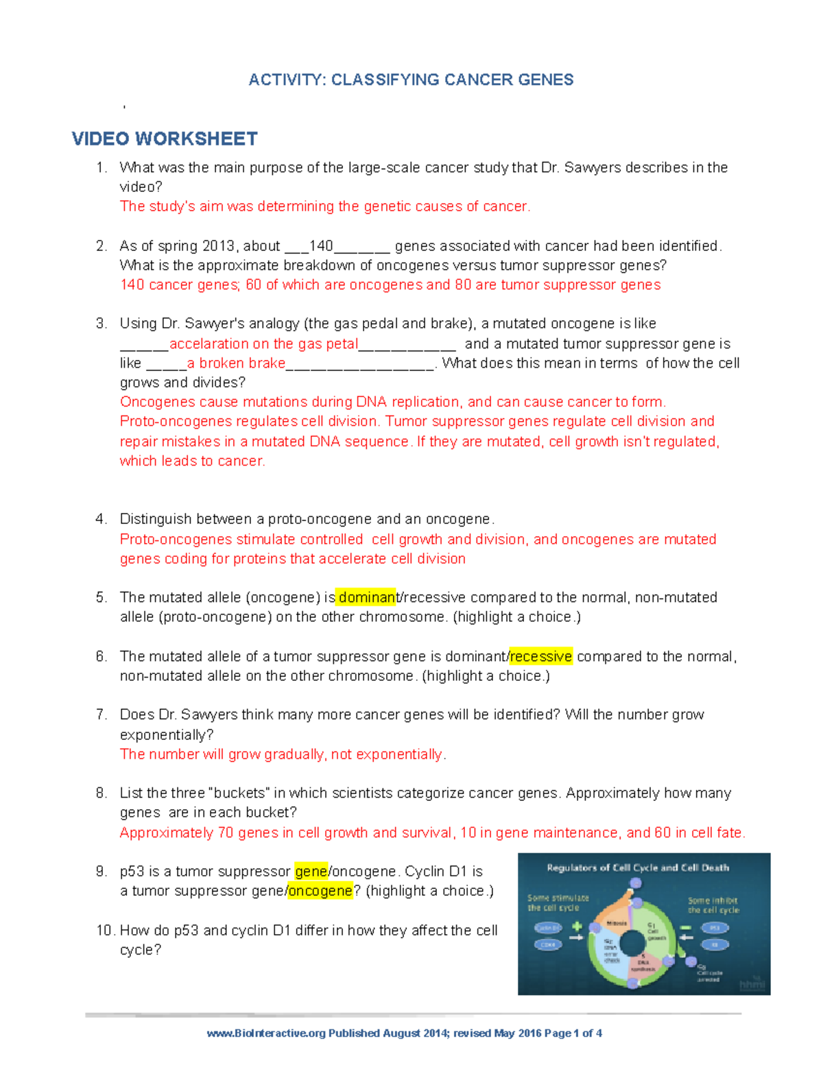 Activity 1 Classifying Genes Student - ACTIVITY: CLASSIFYING CANCER GENES , VIDEO WORKSHEET 1 ...