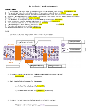 3A and 3B - .... - Amplifier 3A&3B The type of bond that forms to join ...