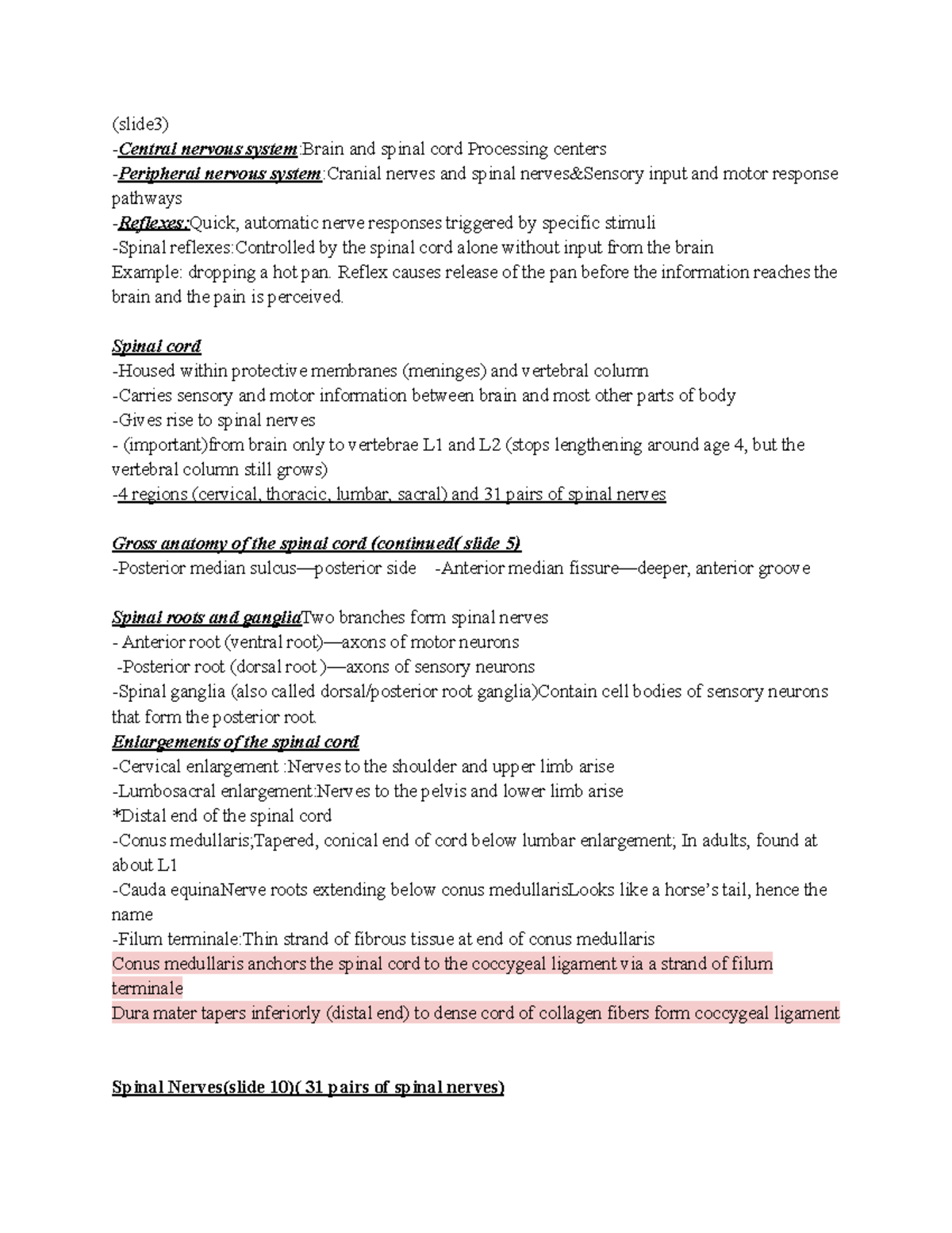 Chapter 13 Spinal Cord, Spinal Nerves, and Spinal Reflexes - (slide3) Central nervous system ...