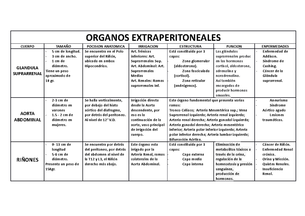 Organos Extraperitoneales 26 04 - ORGANOS EXTRAPERITONEALES CUERPO ...