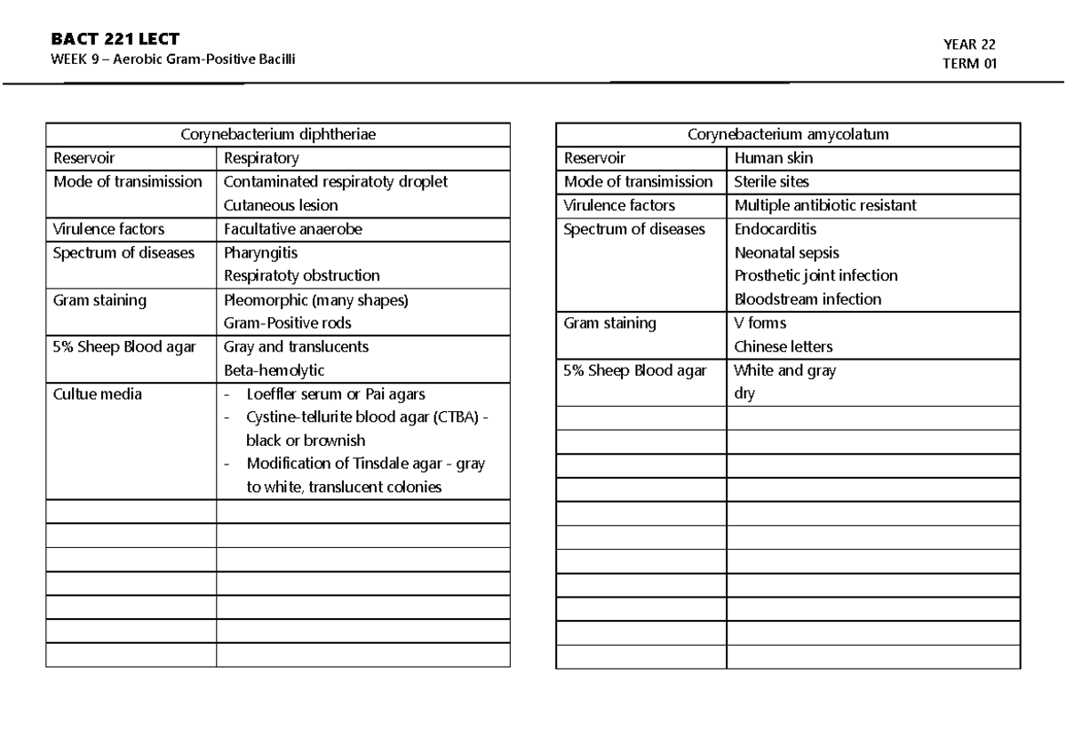 BACT-LECT-9 - NOTES - WEEK 9 – Aerobic Gram-Positive Bacilli YEAR 22 ...