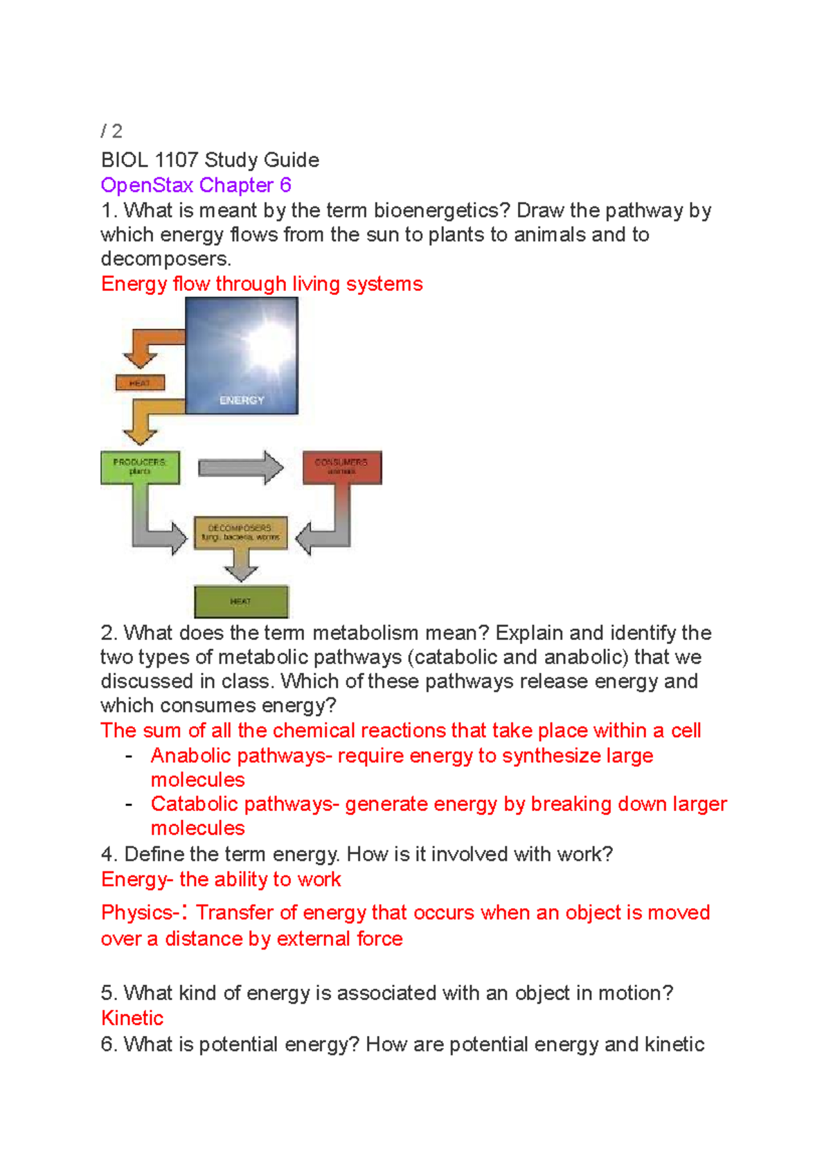 Bio 3 Exam Study Guide - / 2 BIOL 1107 Study Guide OpenStax Chapter 6 ...