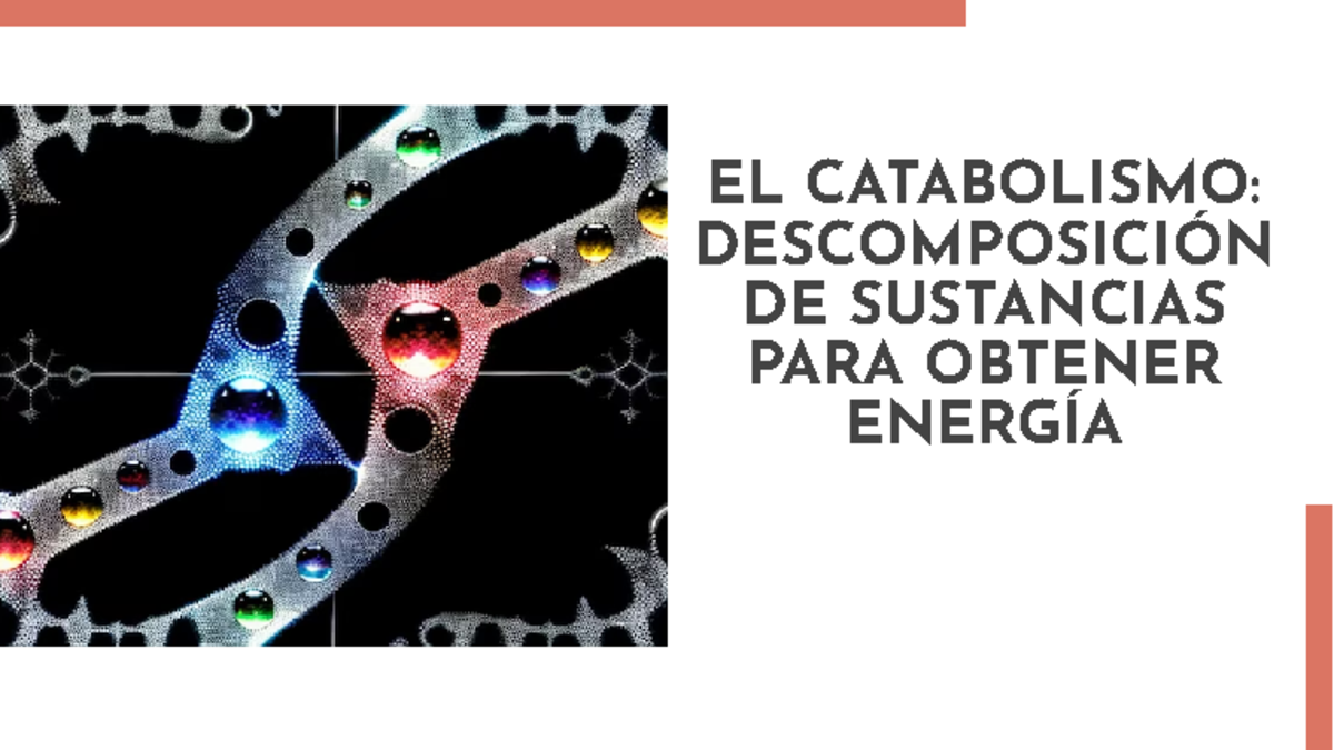 Catabolismo - Es esencial para el funcionamiento de los seres vivos ...