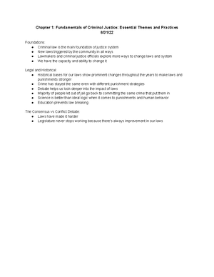 Types of Prosecutors - Types of Prosecutors Prosecutors at different ...