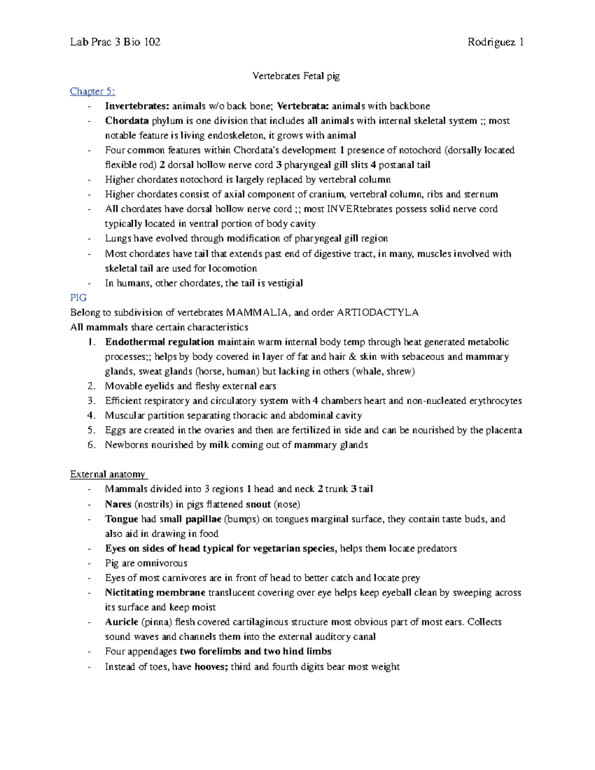 Pig review - Roriguez - Lab Prac 3 Bio 102 Rodriguez 1 Vertebrates ...