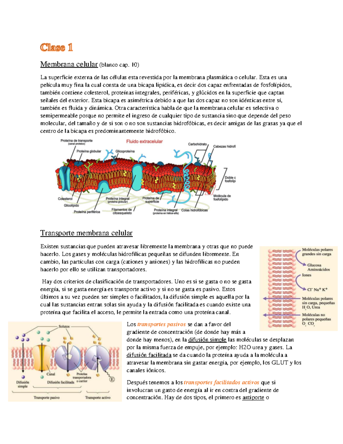 Clases bioquímica II. Resumen completo - Biofísica y Bioquímica II ...