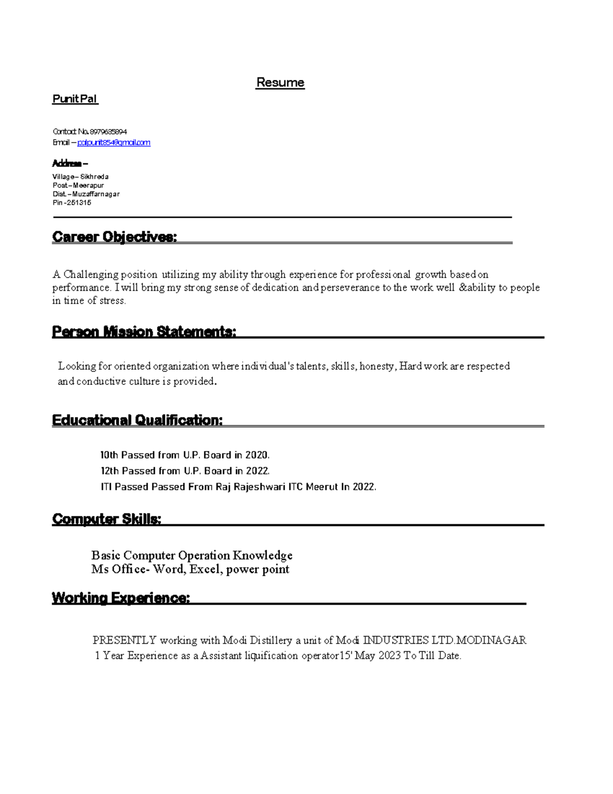 Punit elec - nothing special - Resume Punit Pal Contact No. 8979635894 ...