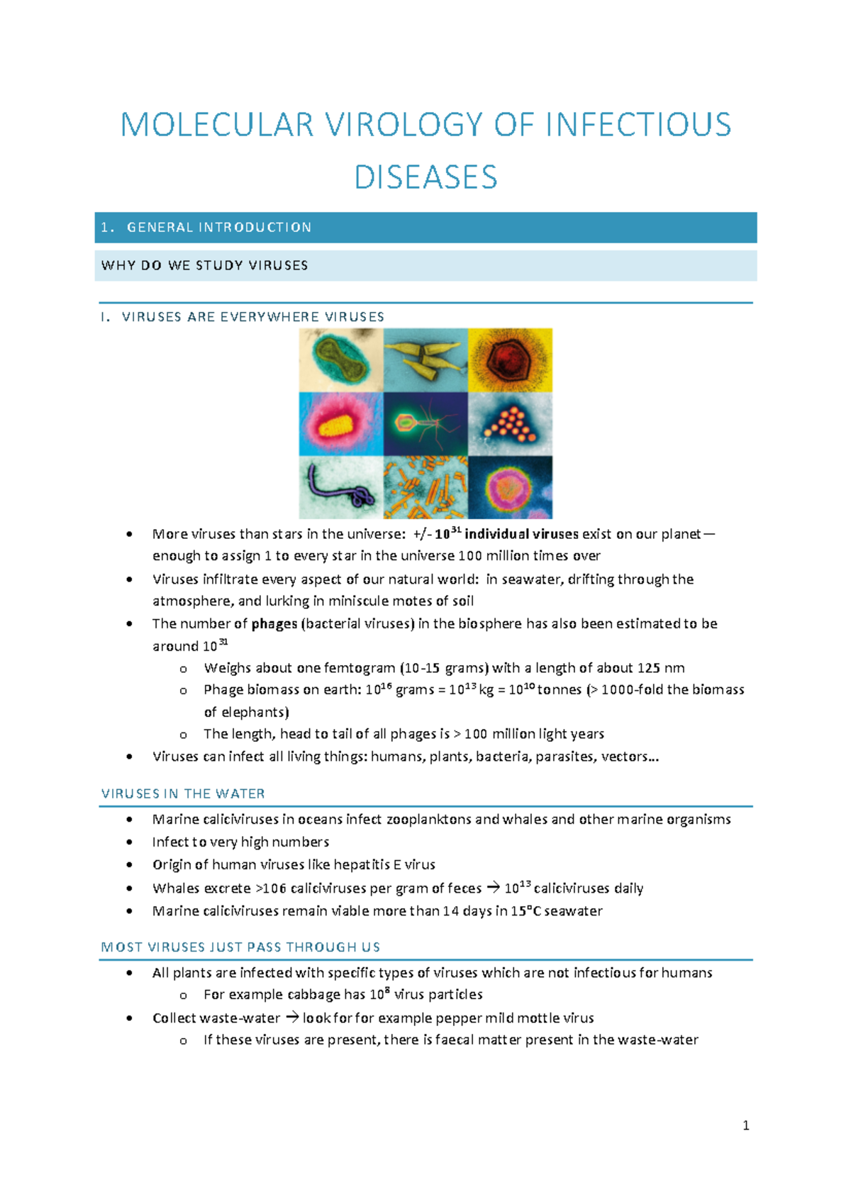 Molecular virology-sv 2 - MOLECULAR VIROLOGY OF INFECTIOUS DISEASES 1 ...