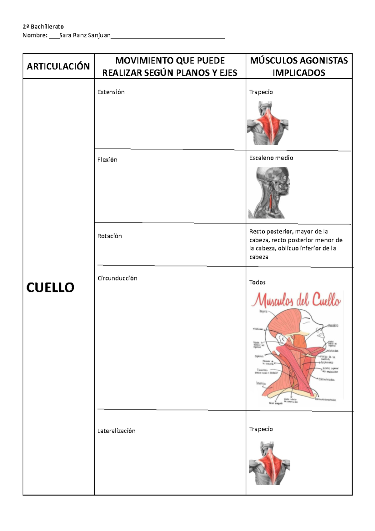 Movimientos articulares - Nombre: Sara Ranz Sanjuan______________________________ ARTICULACIÓN ...