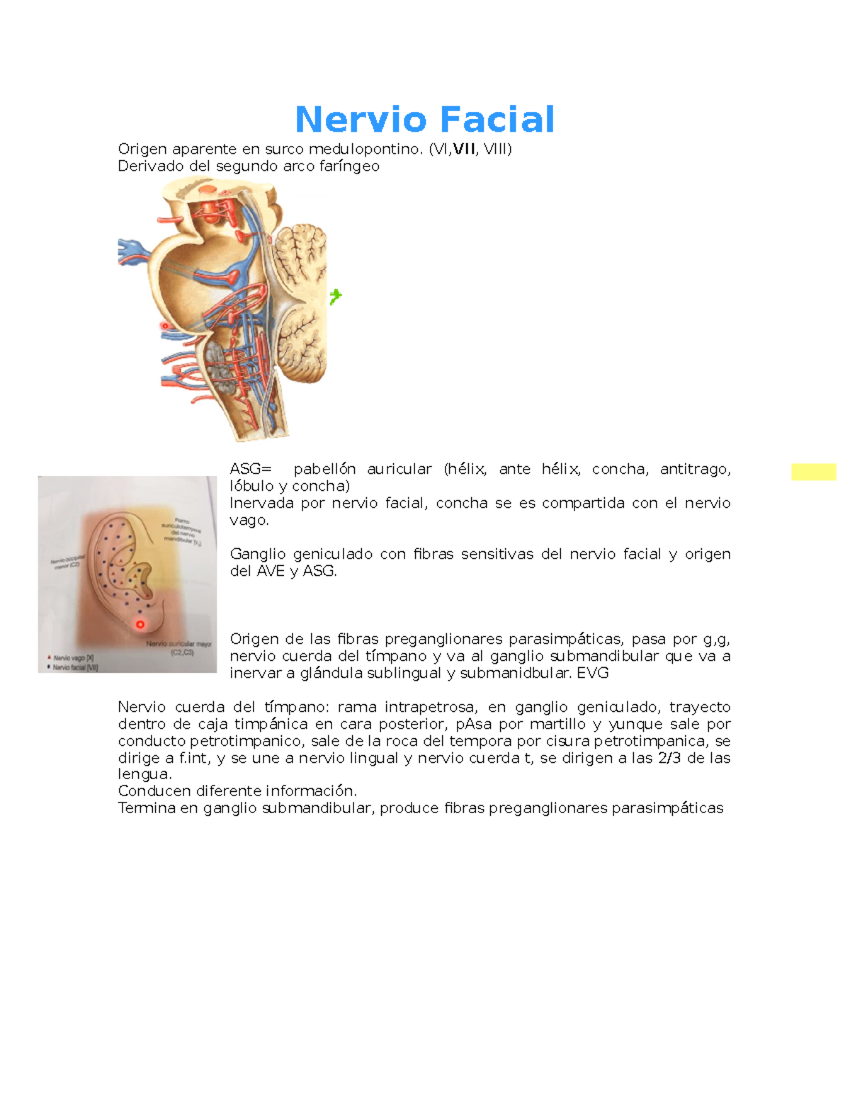 Nervio Facial - dra. martha - Nervio Facial Origen aparente en surco ...