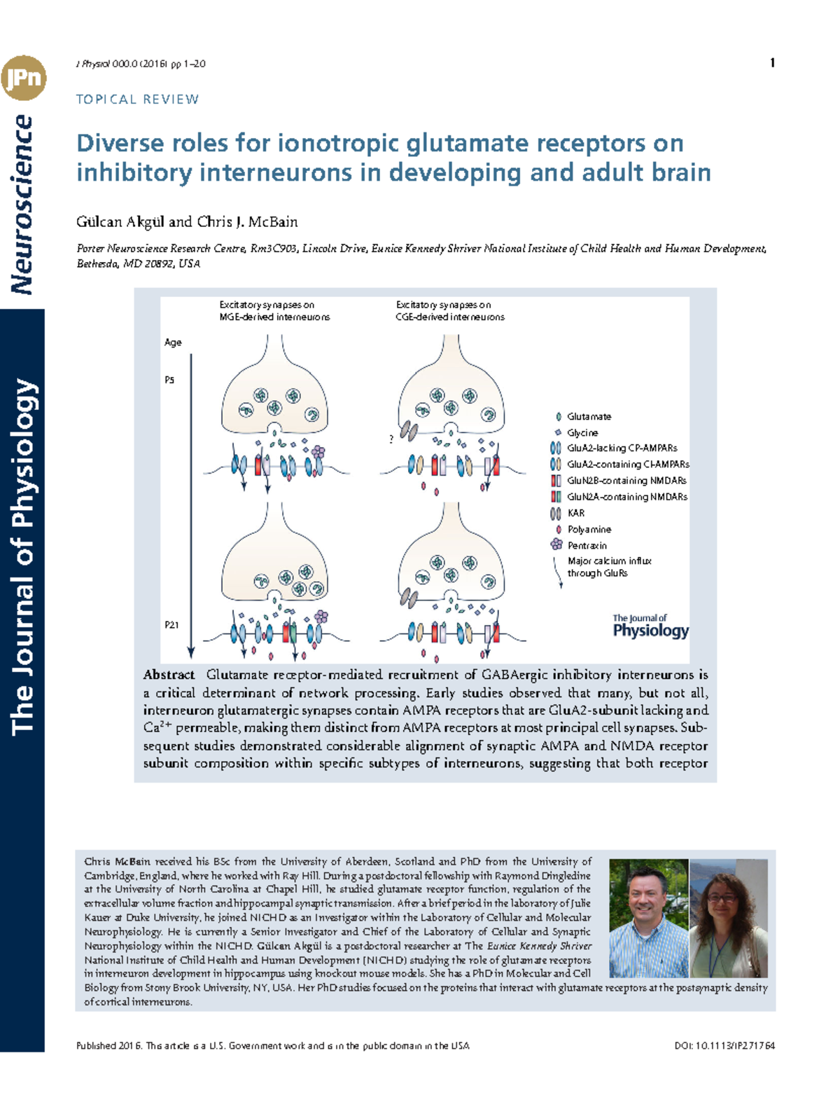 101113@jp271764 230413 160244 - J Physiol 000 (2016) pp 1–20 1 The ...