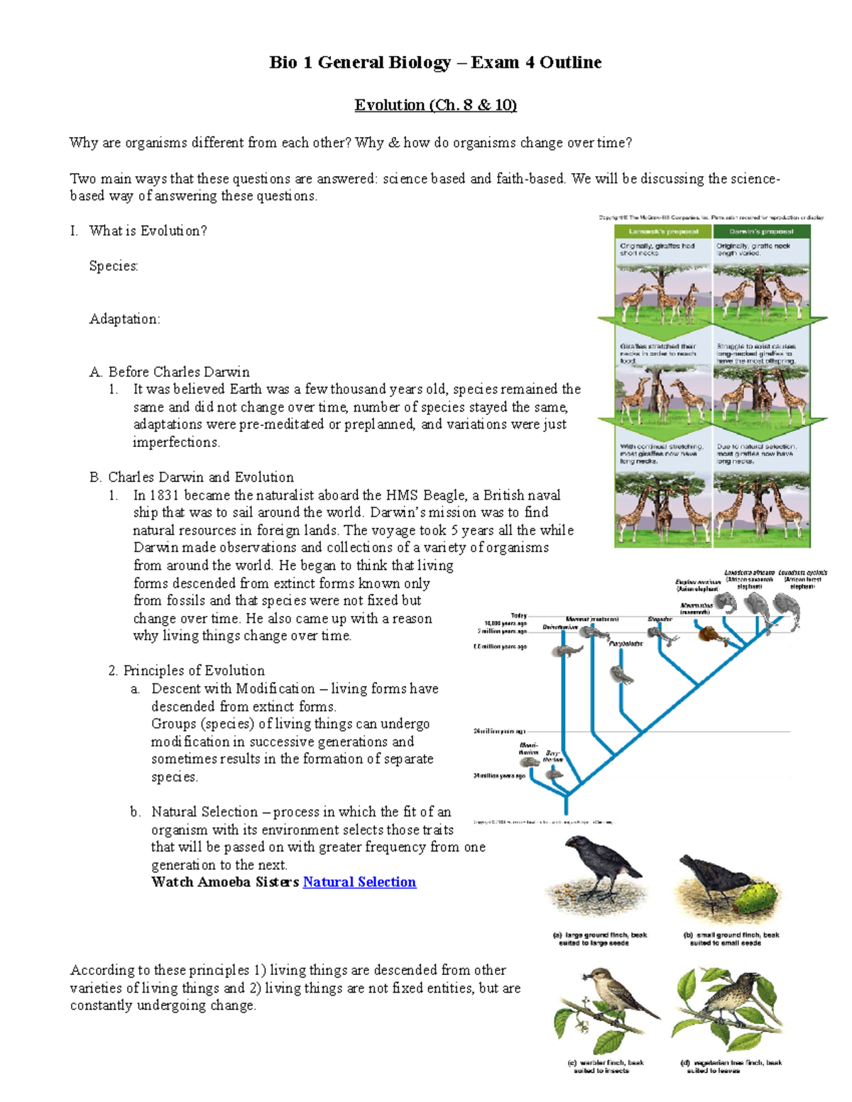 Student Copy-Exam 4 Material new - Bio 1 General Biology – Exam 4 ...