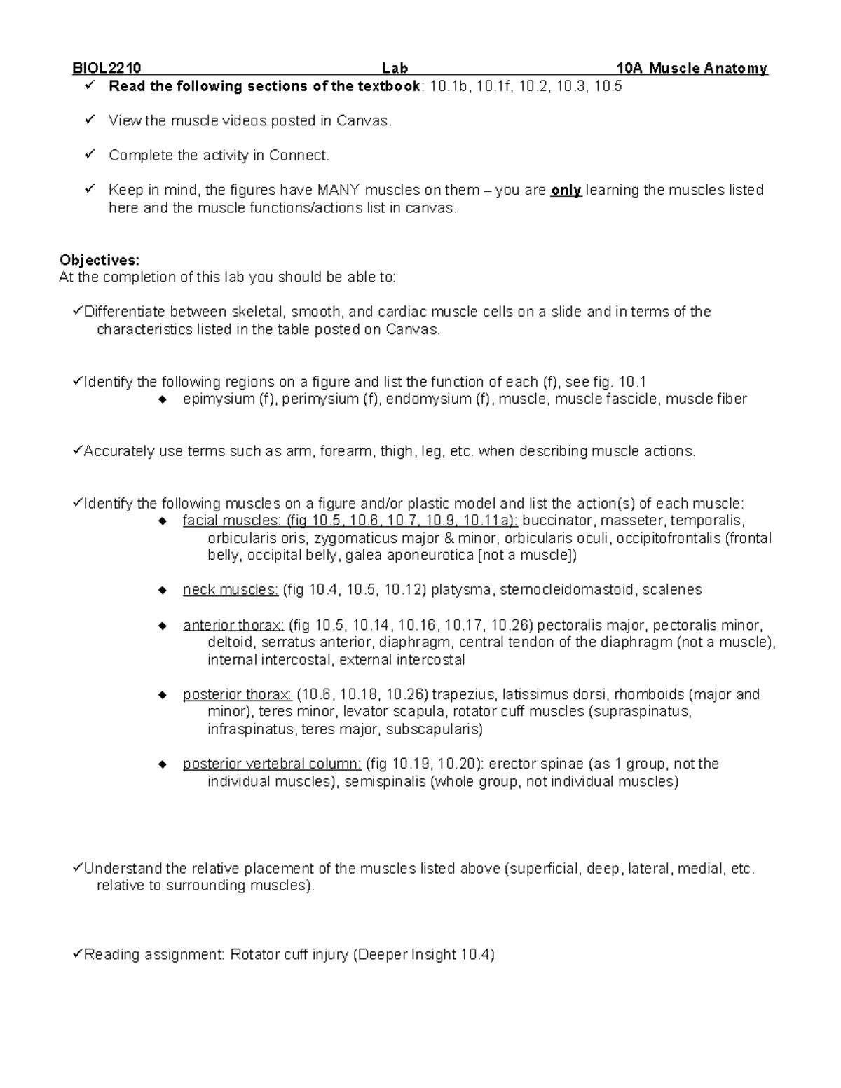 Lab 10A Muscle Anatomy - notes - BIOL2210 Lab 10A Muscle Anatomy Read ...