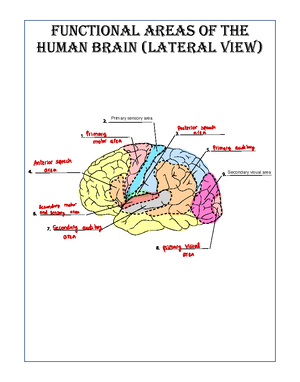 Physiological Psychology chapter 1 - Normal vs. Abnormal When ...