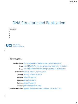 16 Class Transcription notes-3 - pollev/Bio93AB Transcription ...