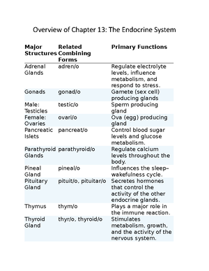 Chapter 13 The Endocrine System Word Parts and Medical Terms - Word ...