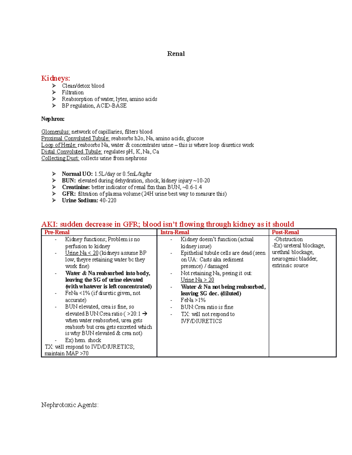 CCRN Renal - notes - Renal Kidneys: Clean/detox blood Filtration ...