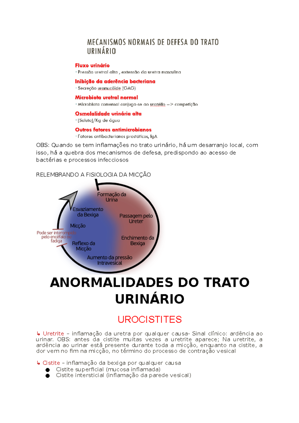 Pielo e itu - ... - OBS: Quando se tem inflamações no trato urinário ...