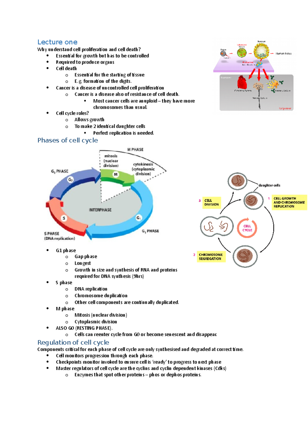 MIMs Cell Cycle Lent Term Lecture 1-3 Prof C Watson Notes - Lecture one ...