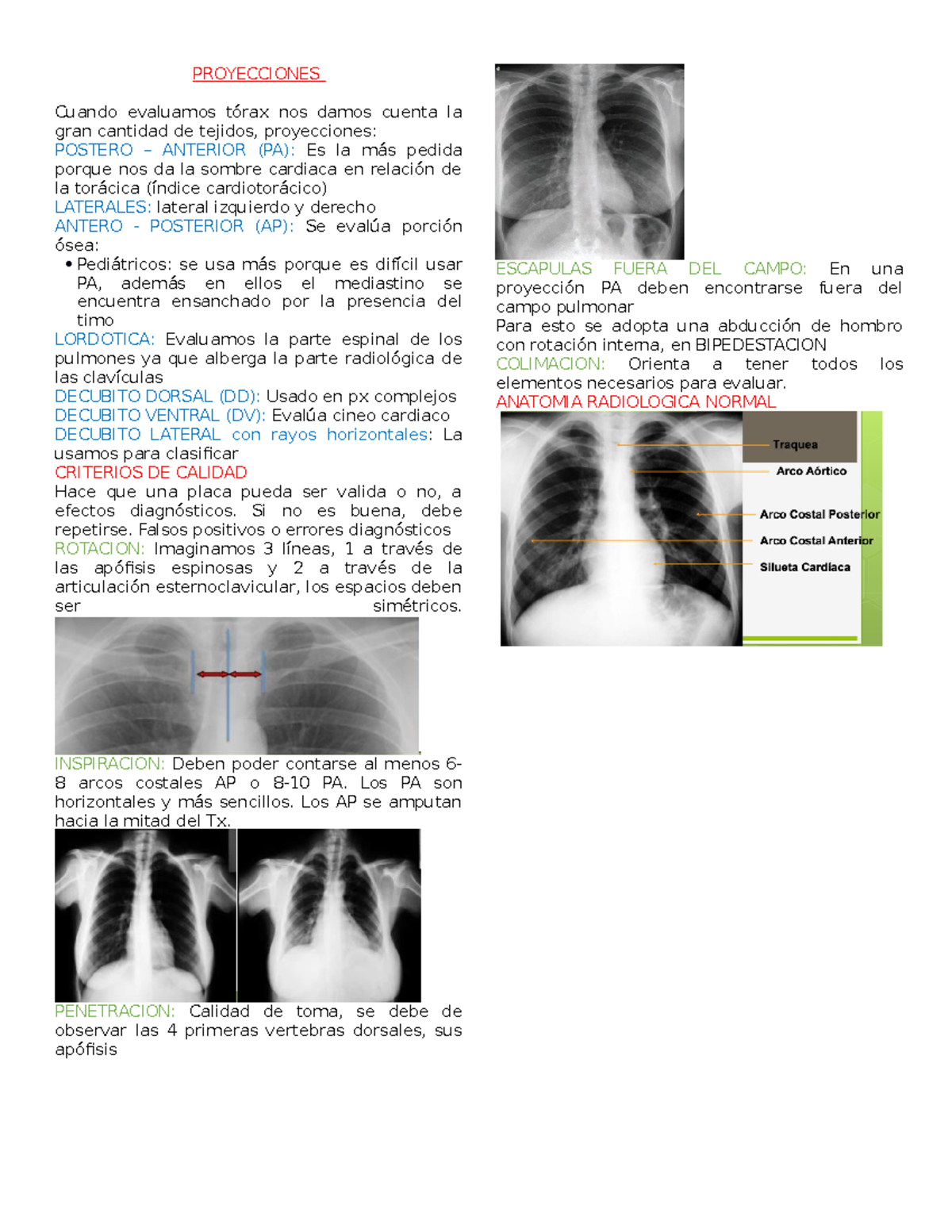 Proyeccion - RADIOLOGIA - PROYECCIONES Cuando evaluamos tórax nos damos ...