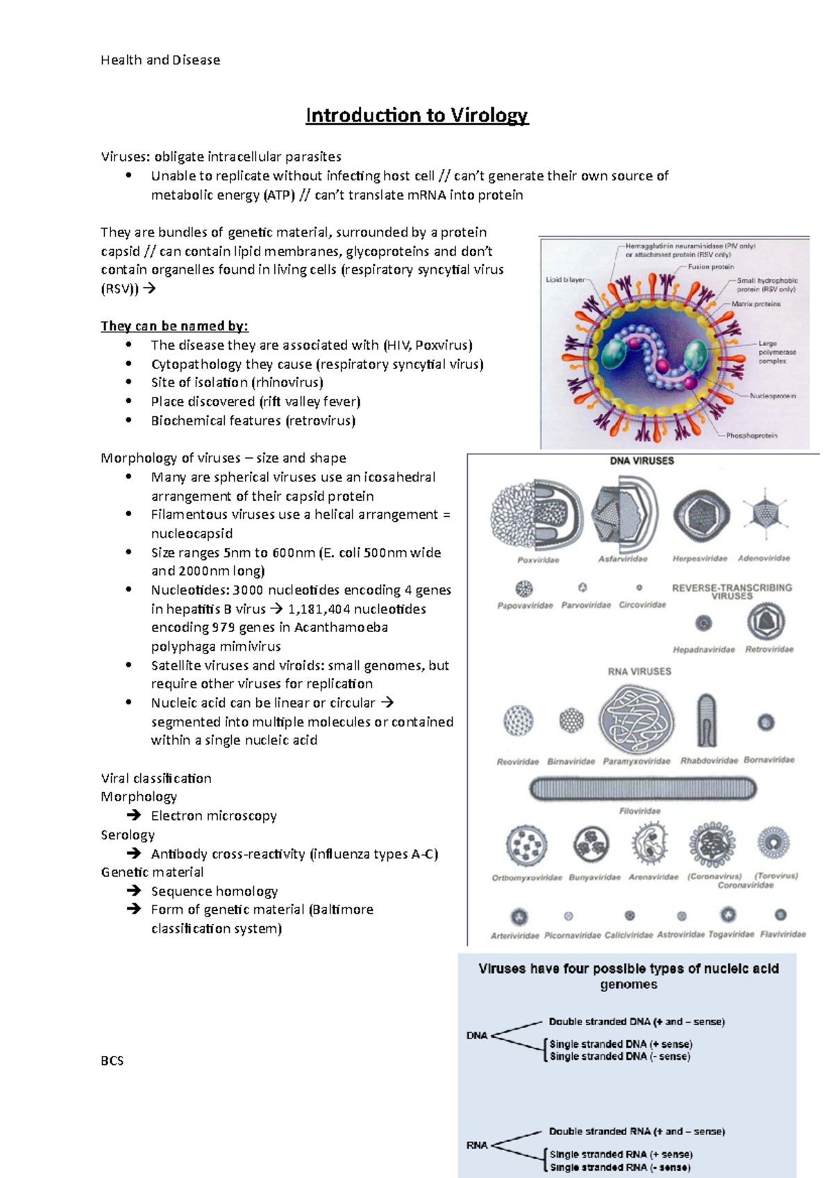 Introduction to Virology - notes - Introduction to Virology Viruses ...