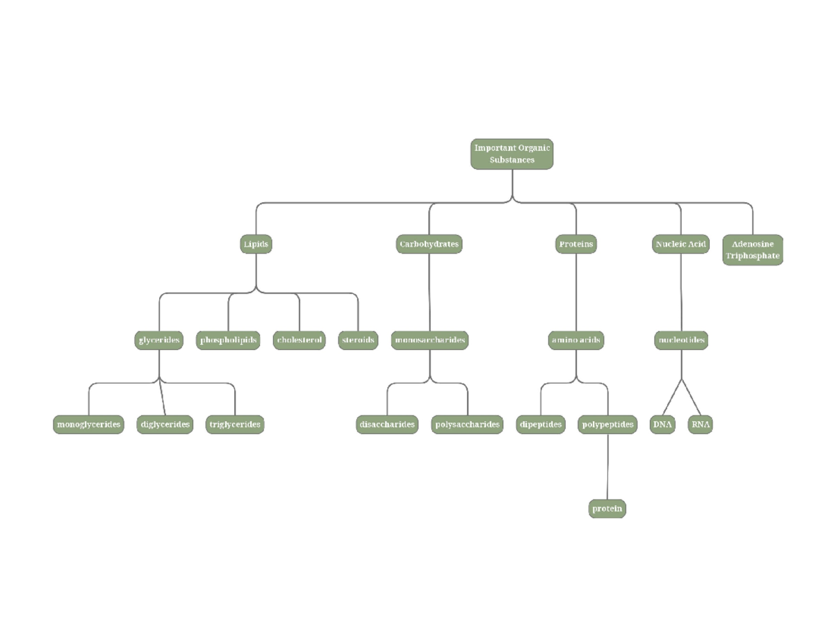 Flowcharts - BIOL 1410 - Studocu