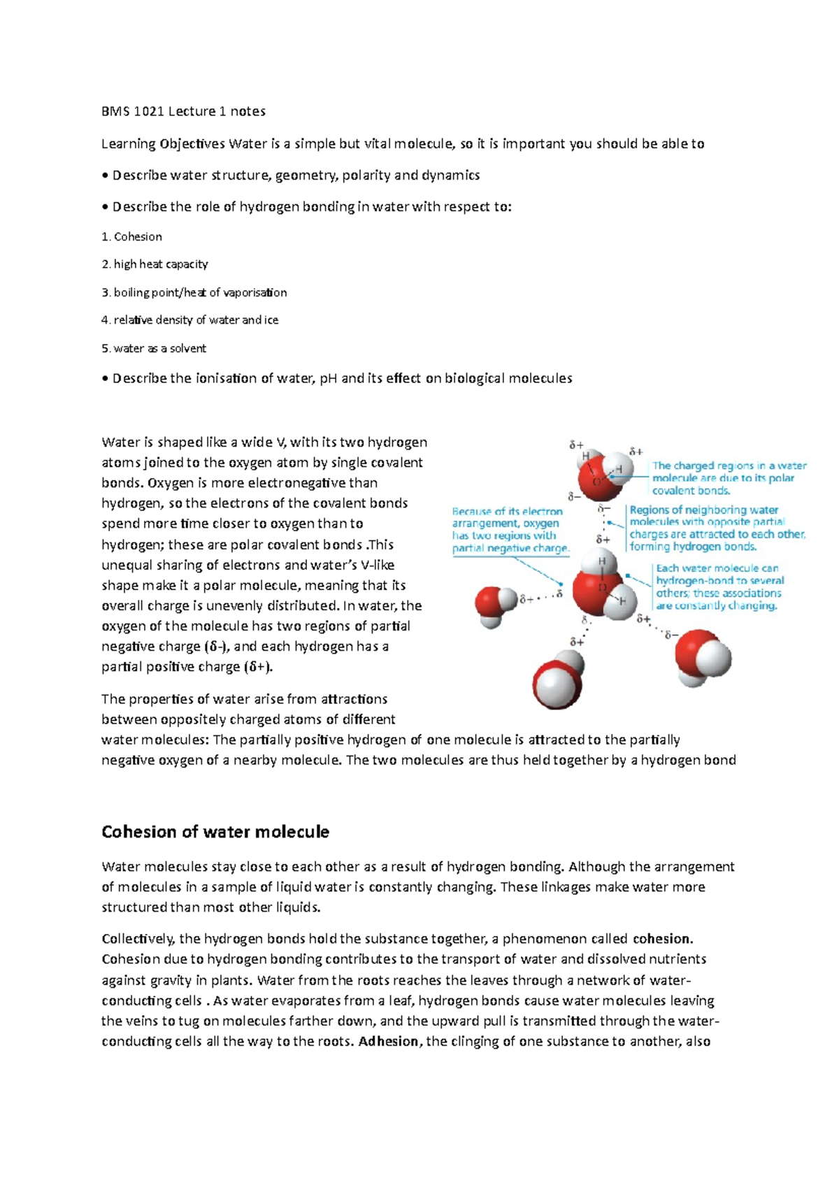 Bms 1021 Cells Tissues And Organisms Lecture 1 Notes Bms 1021 Lecture 1 Notes Learning