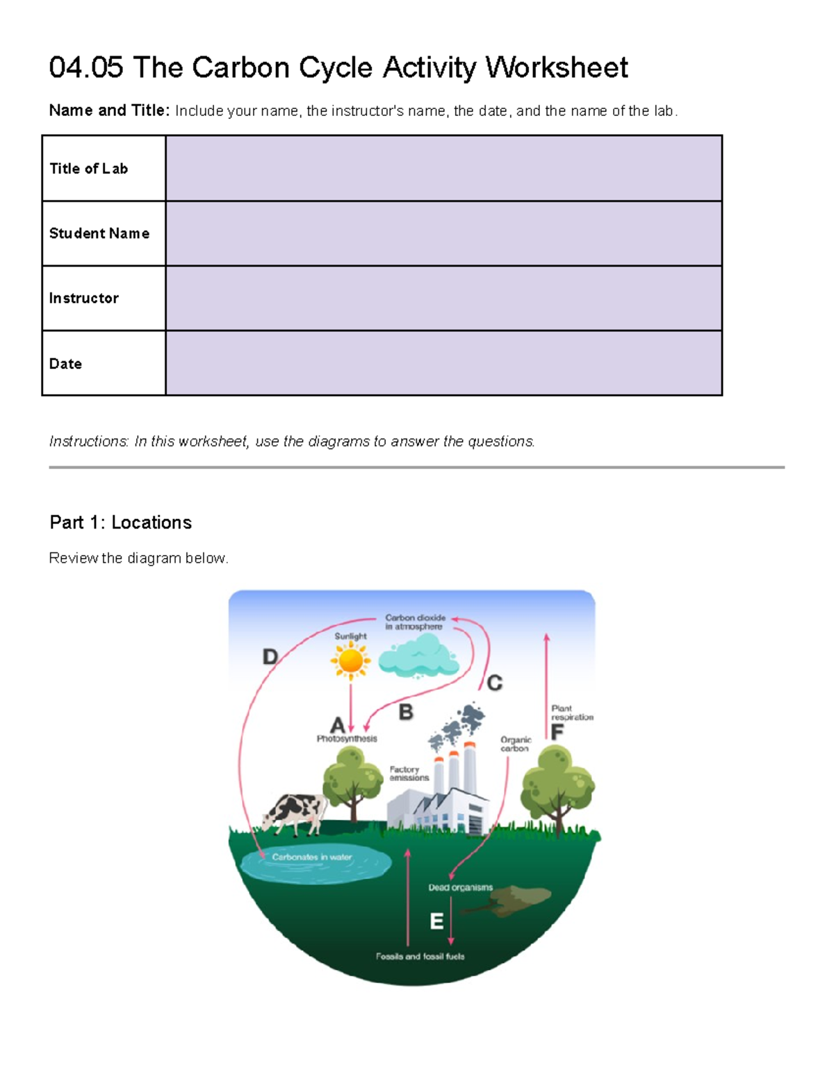 Carbon worksheet - 04 The Carbon Cycle Activity Worksheet Name and ...