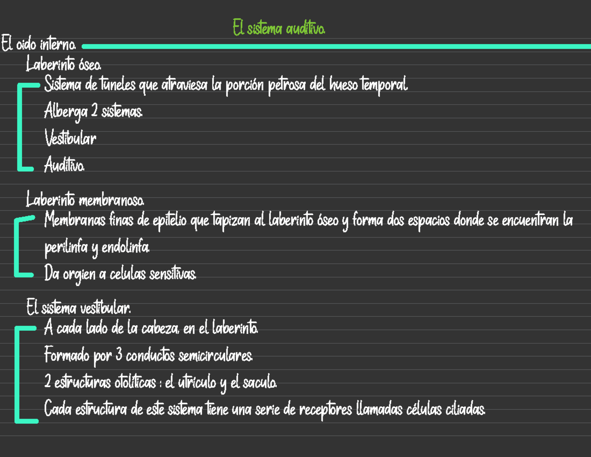 El sistema auditivo - El oido interno. Laberinto óseo. Laberinto ...