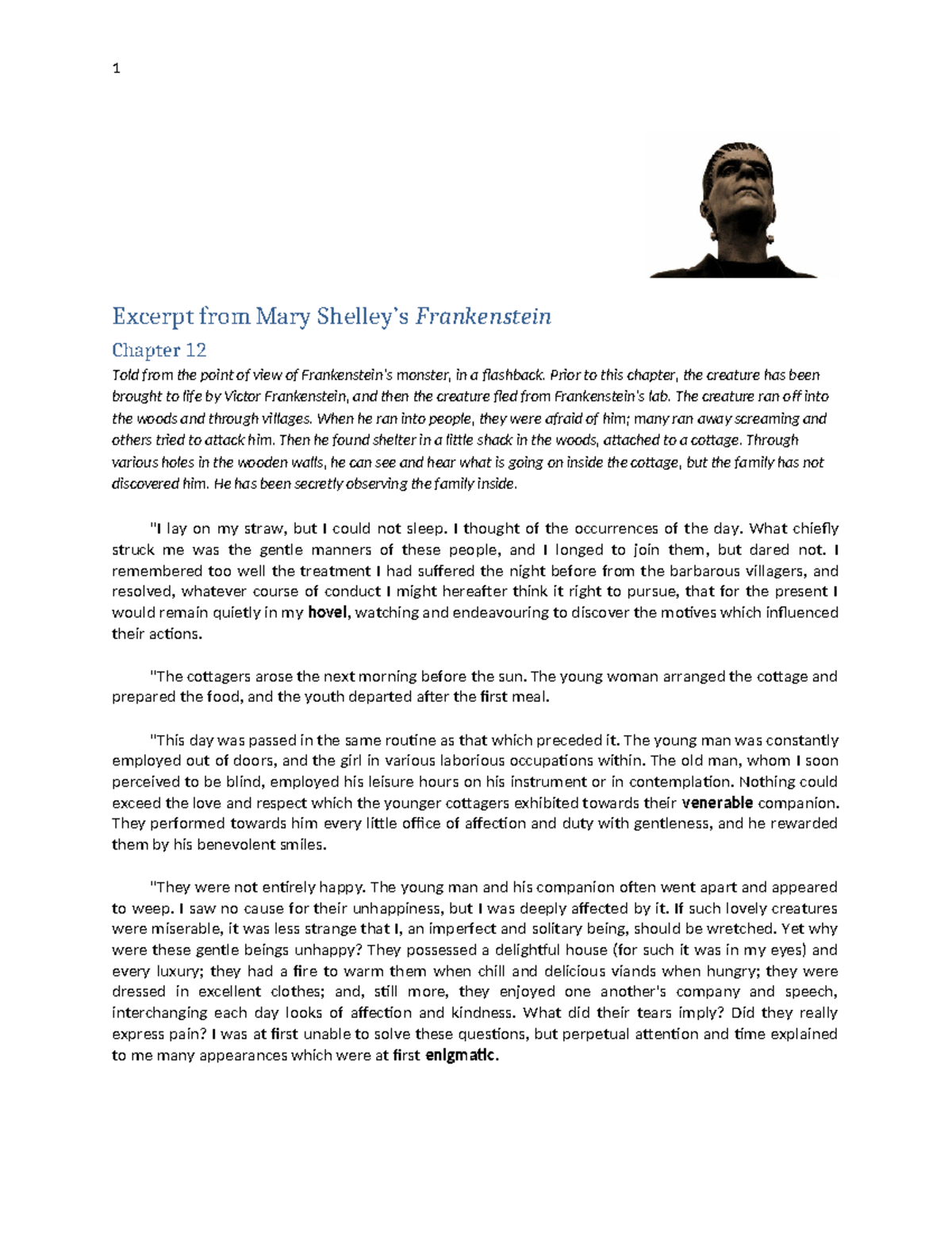 Frankenstein Excerpt - /// - Excerpt from Mary Shelley’s Frankenstein ...