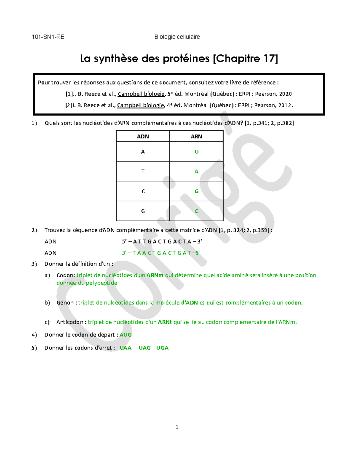 SN1 EX05 Synthese Proteines Corrige - La synthèse des protéines ...