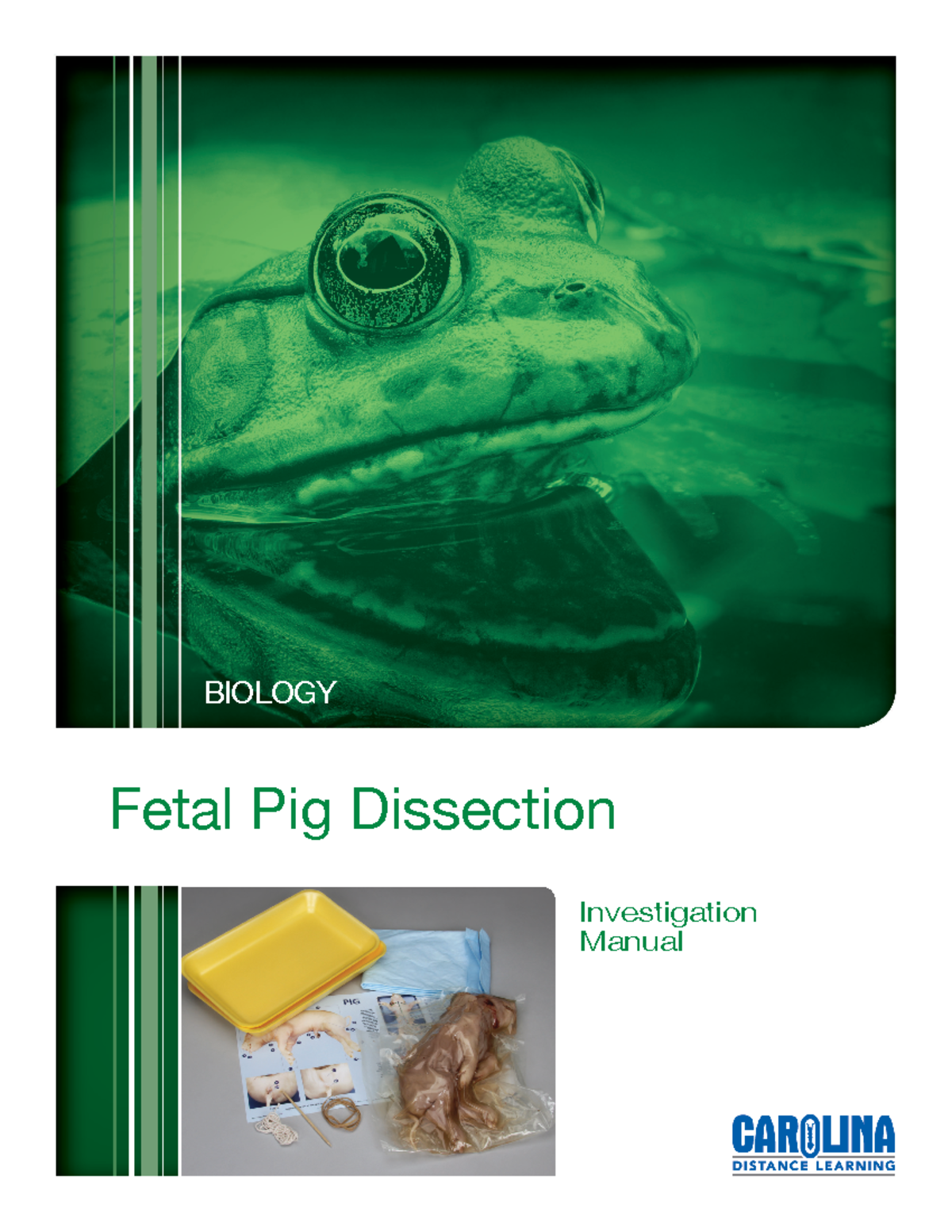Carolina Fetal Pig Dissect - Investigation Manual Fetal Pig Dissection ...