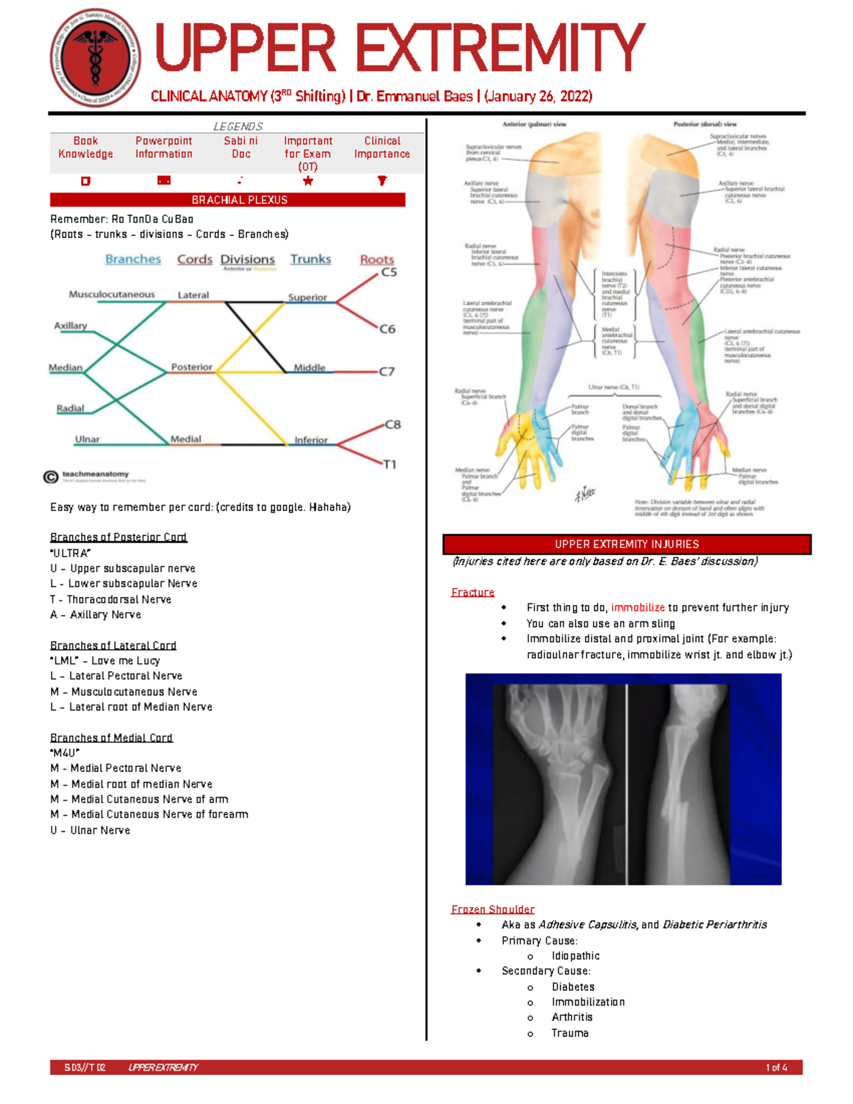 Upper Extremity - S 03// T 02 UPPER EXTREMITY 1 of 4 LEGENDS Book ...