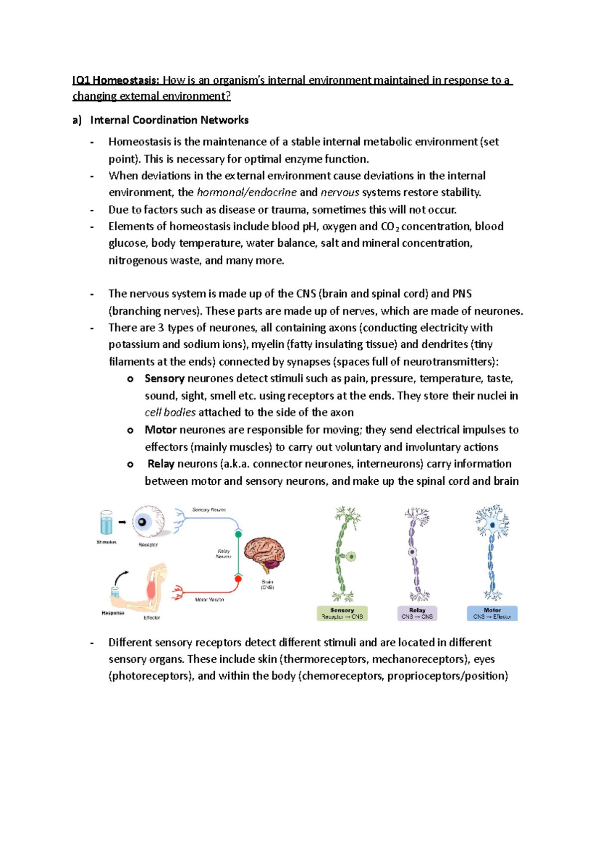 2020 BIO Module 8 Non Infectious Disease Jessica - IQ1 Homeostasis: How ...