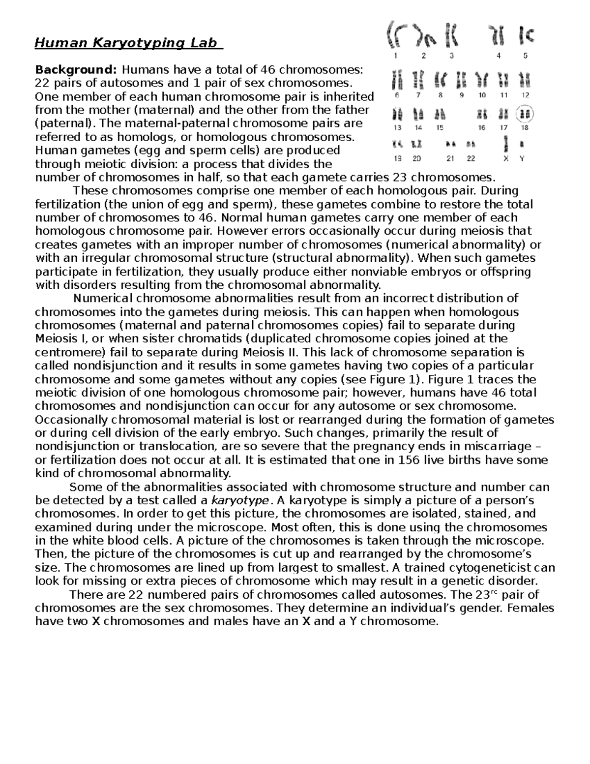 Karyotype Activity Good ong swag water - Human Karyotyping Lab ...