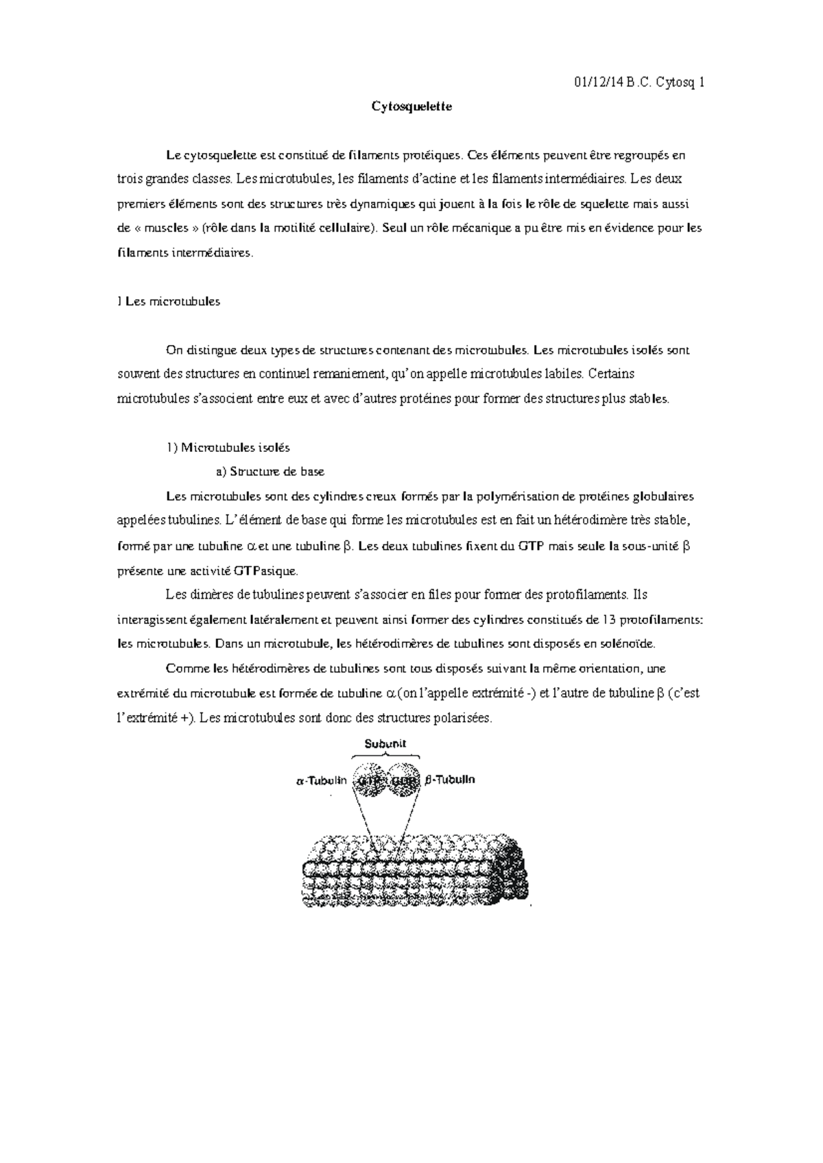 Le cytosquelette - Cytosquelette Le cytosquelette est constitué de ...