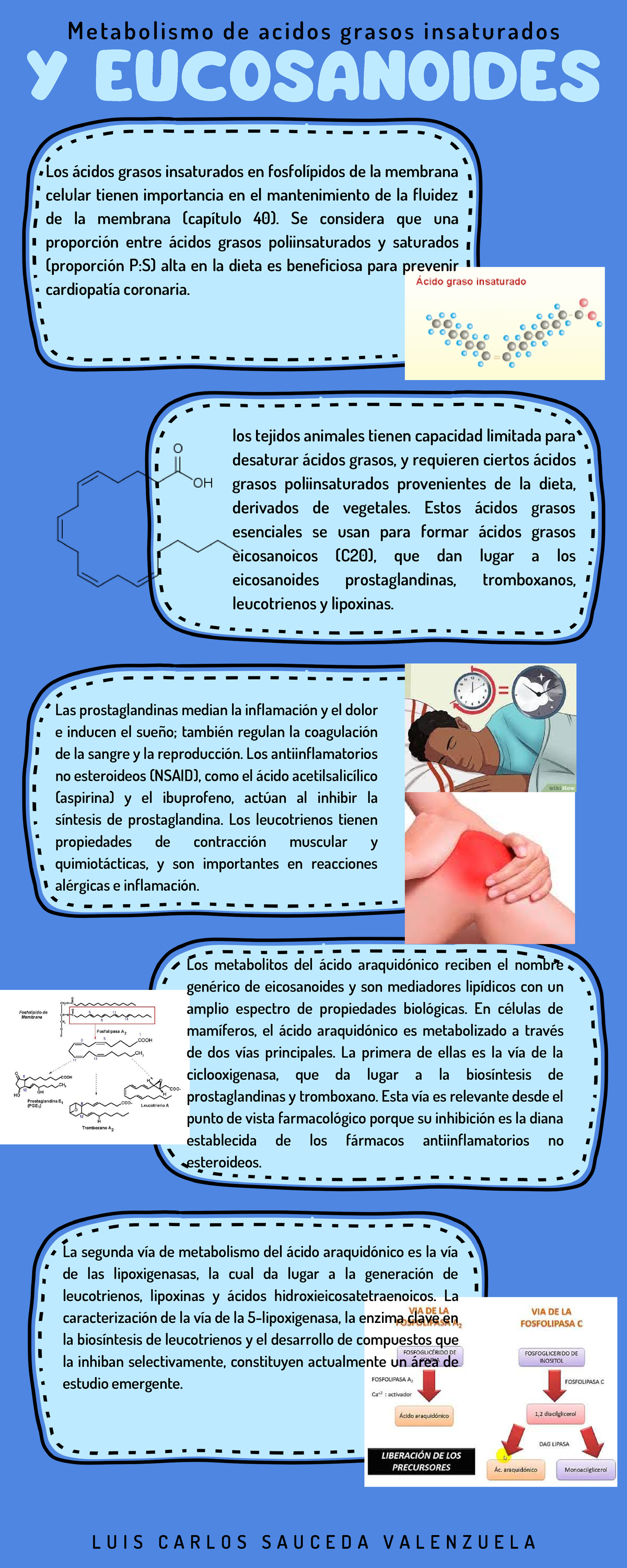 Metabolismo de acidos grasos insaturados - Metabol ismo de acidos ...
