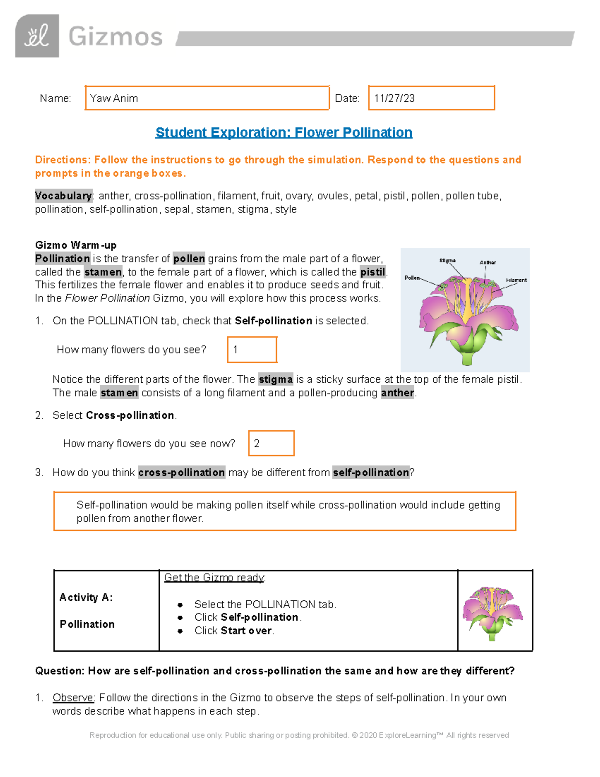 Copy of Copy of Flower Pollination SE - Name: Yaw Anim Date: 11/27 ...