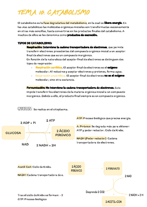 Ejercicios resueltos lípidos - Warning: TT: undefined function: 32 TEMA 3 E y S. 2007 Mod. 2 A-1 ...