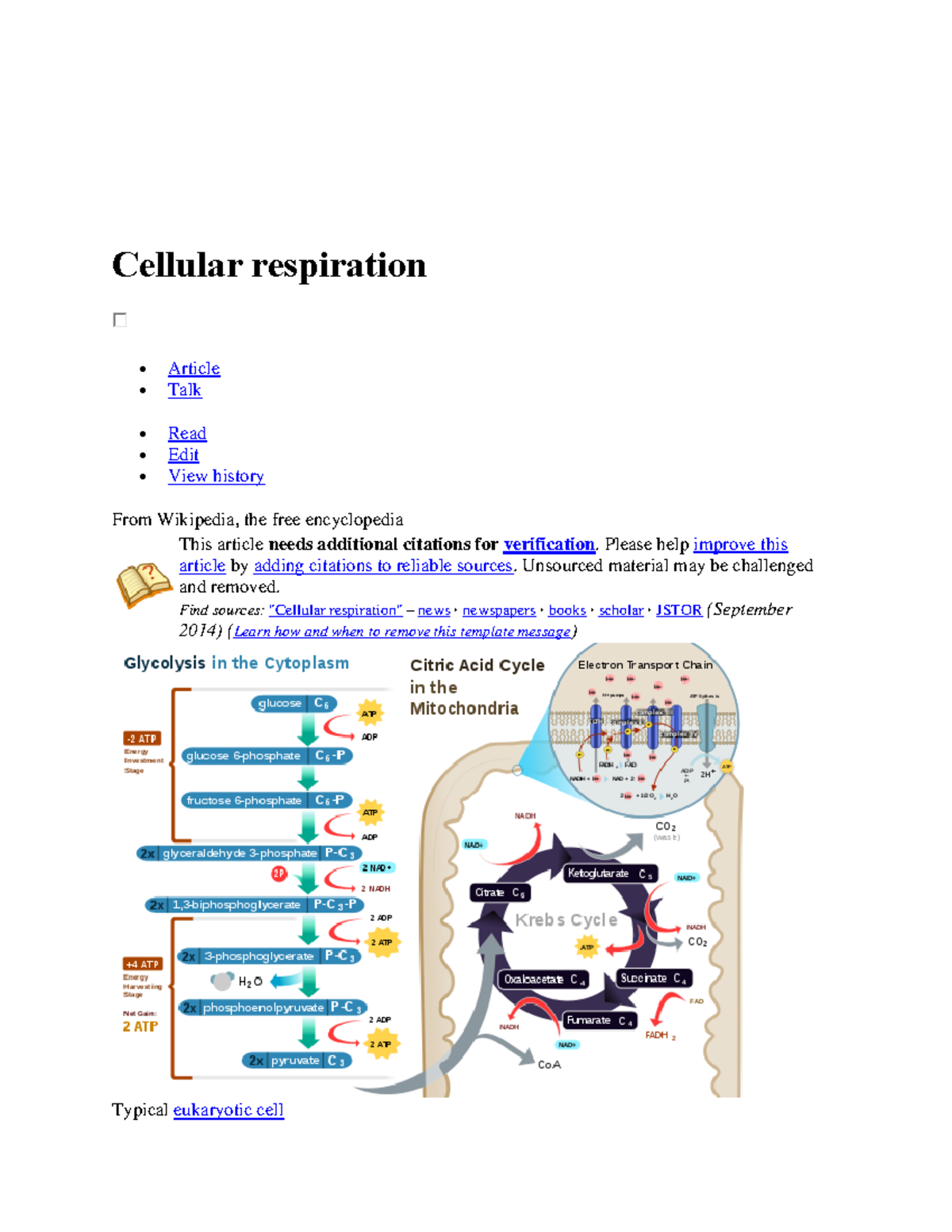 Cellular respiration - Cellular respiration Article Talk Read Edit View ...