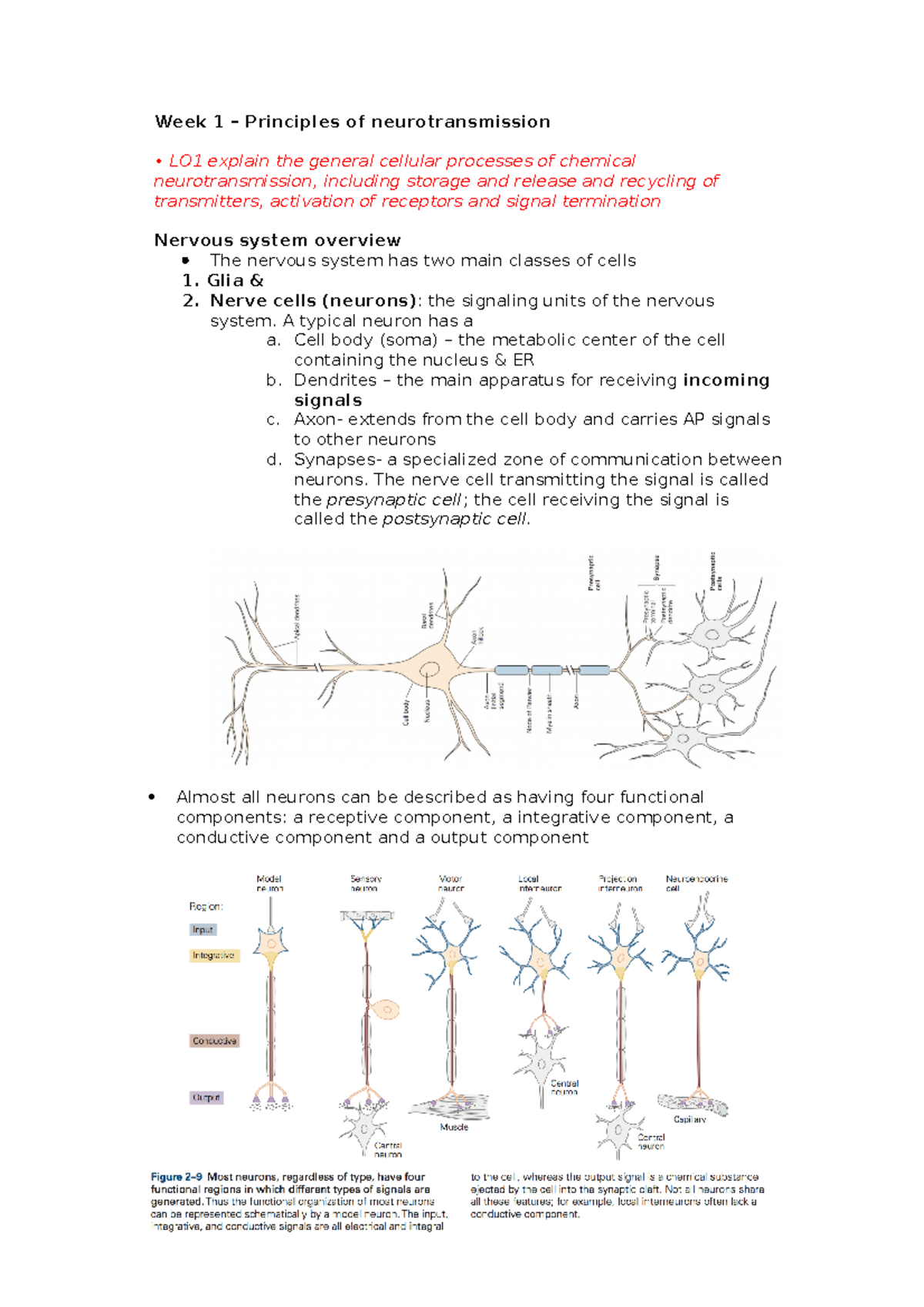Summary - Neuroscience, lectures 1-10 - Week 1 – Principles of ...