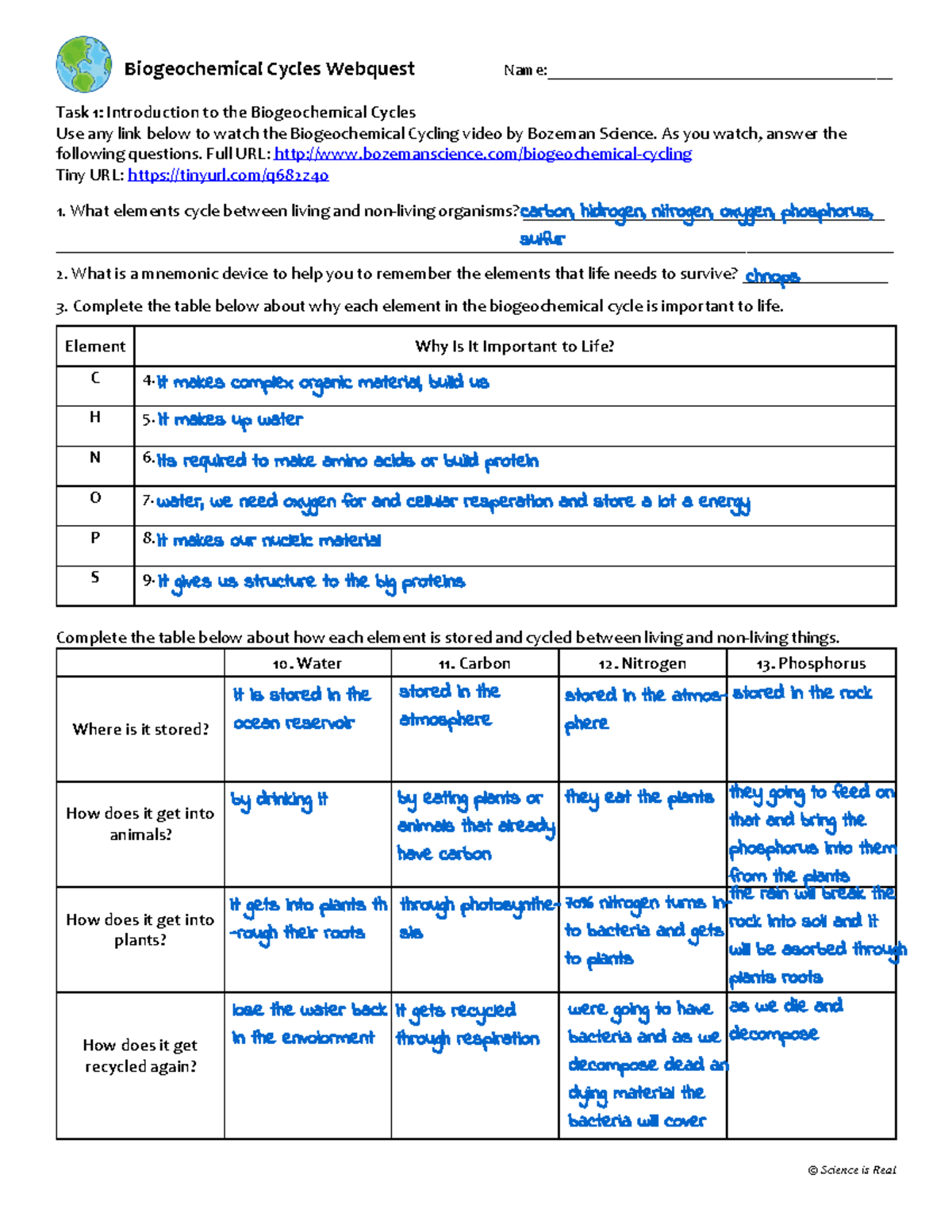 Biogeochemical Cycles Webquest Handout - Biogeochemical Cycles Webquest ...