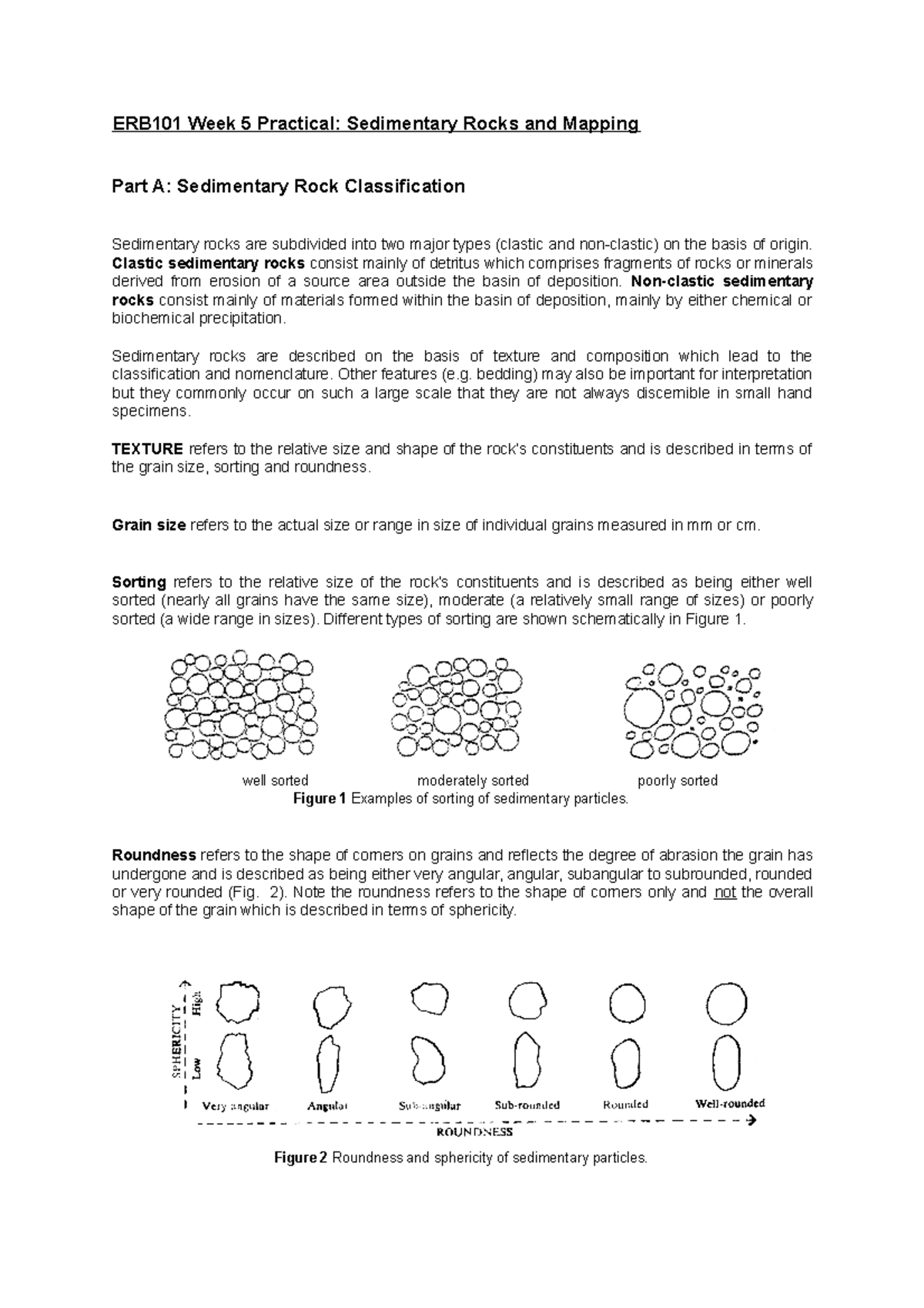 ERB101 Lab-5 - Assignment - ERB101 Week 5 Practical: Sedimentary Rocks ...